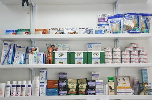 About Us — Downtown Veterinary Clinic