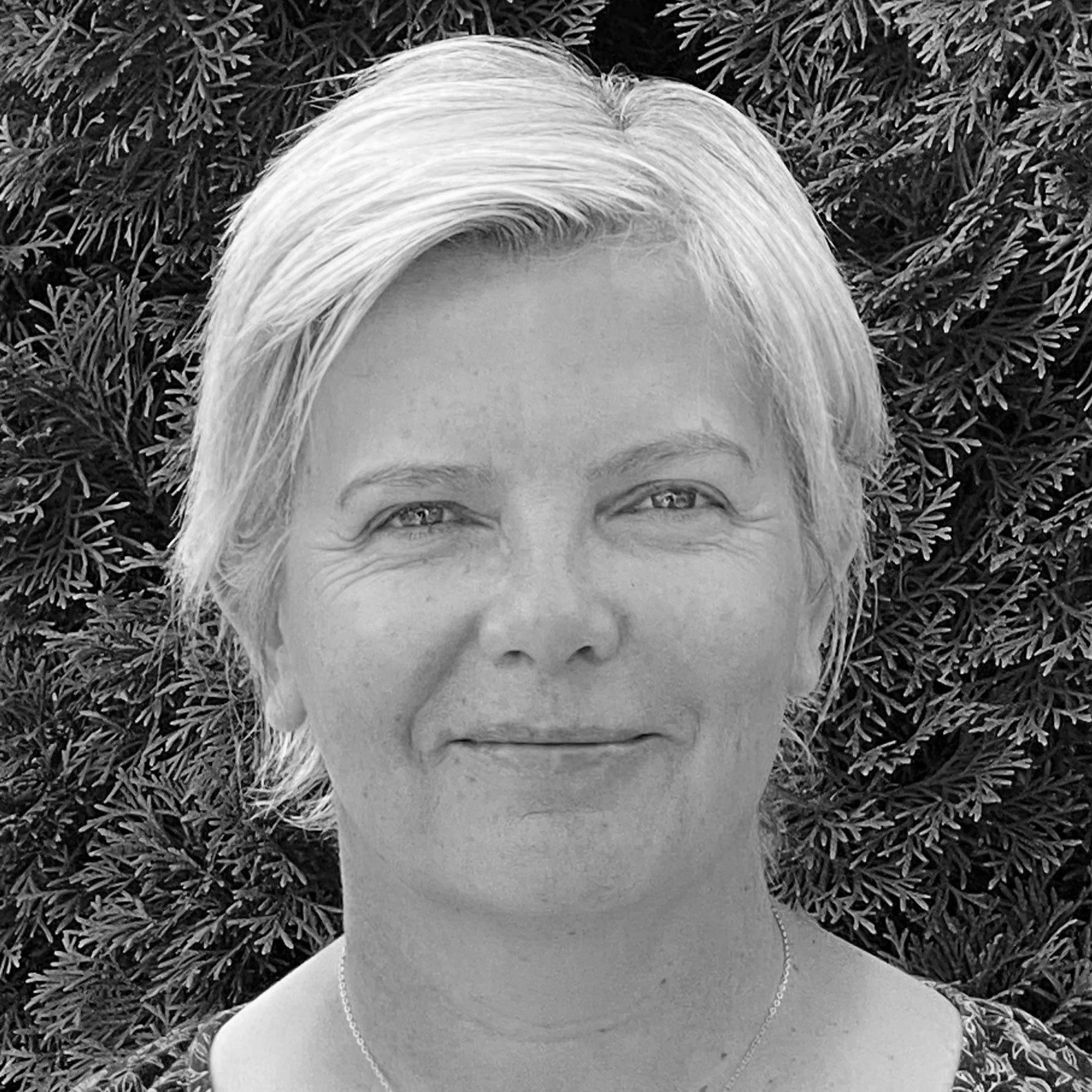 Paula Cook Counselling | Therapy & Counselling Services - Clinical ...