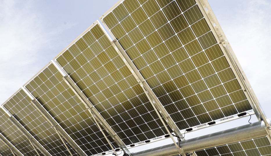Trina Solar Panels Review — Clean Energy Reviews