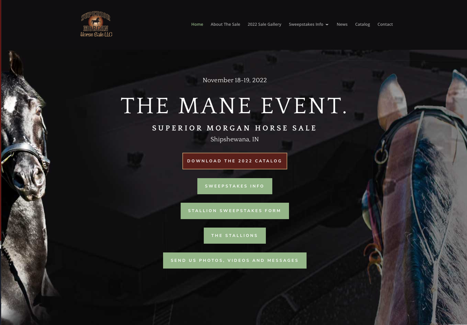 Superior Morgan Sale and Weanling Sweepstakes:Nov 15-19, 2022 ...