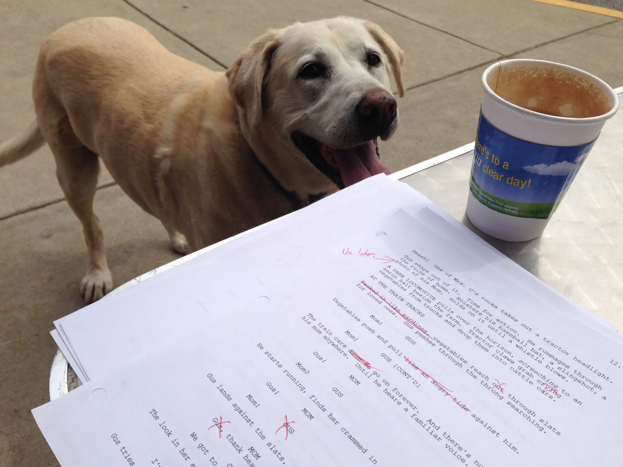 Will You Read My Script? — Screenwriter School