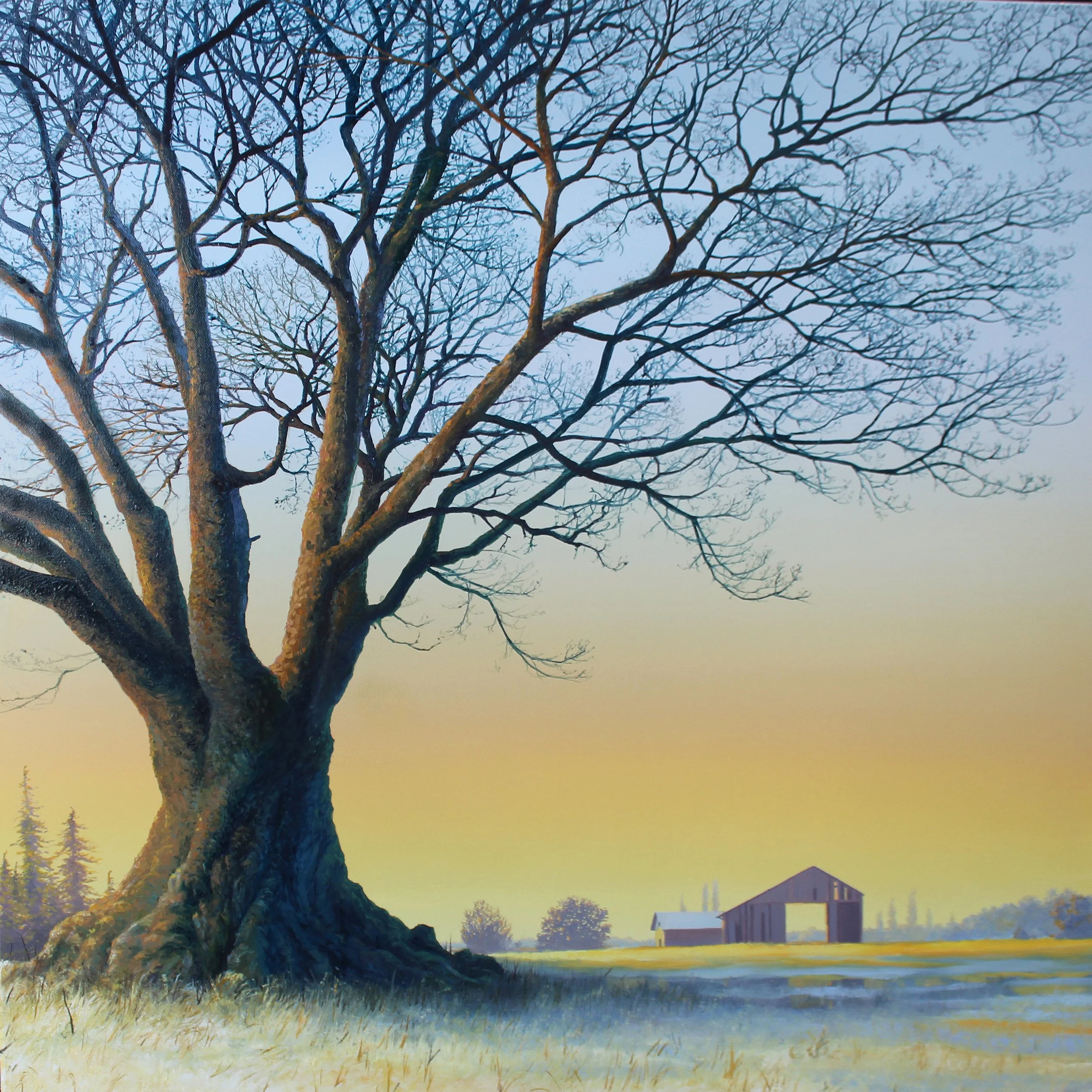 Portfolio & Available Pieces — Andy Eccleshall Fine Art