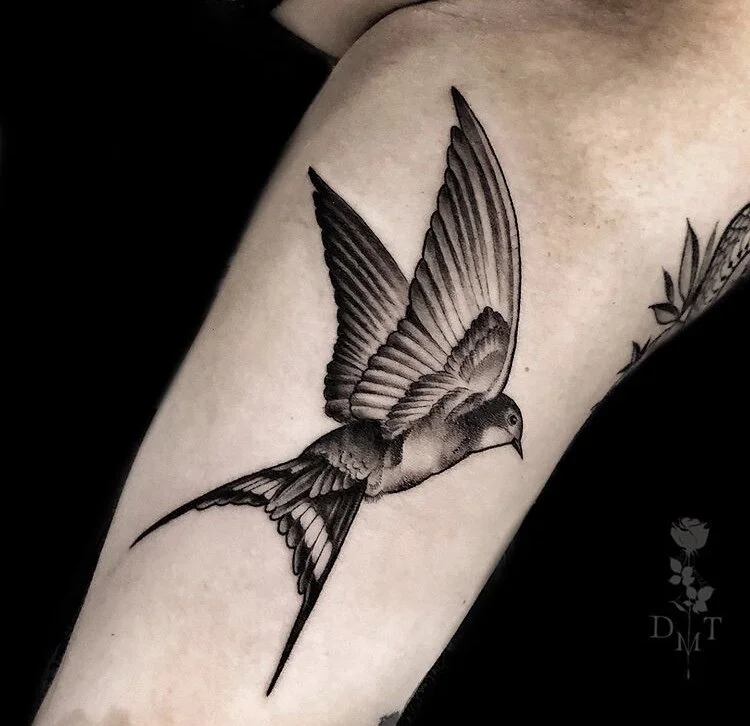 Devin Mena — Vatican Studios