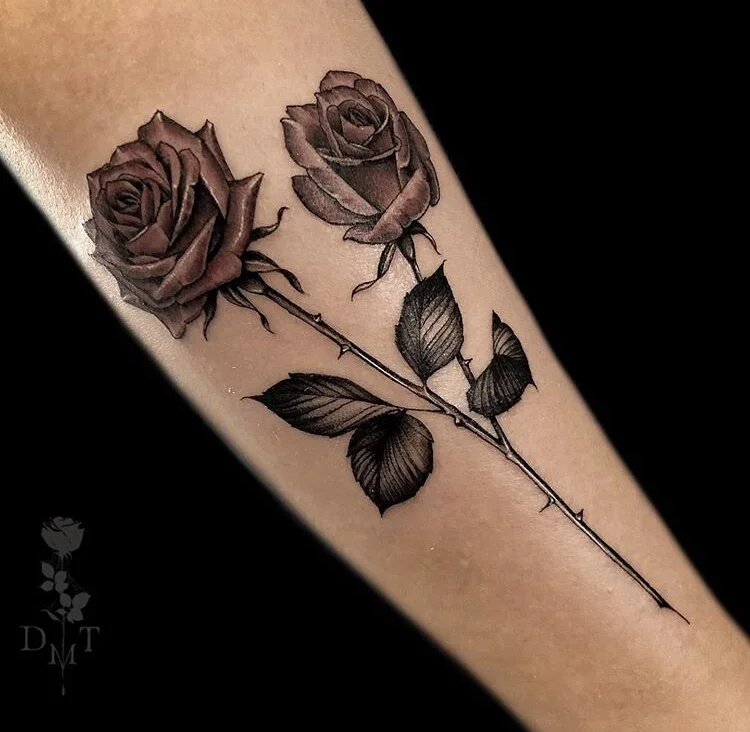 Devin Mena — Vatican Studios