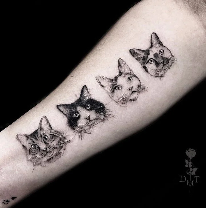 Devin Mena — Vatican Studios