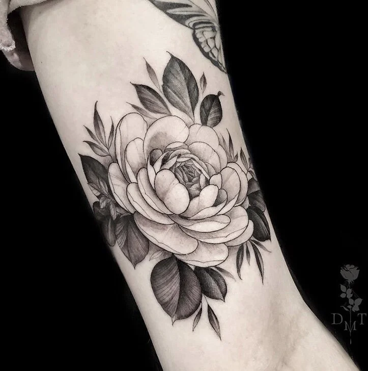 Devin Mena — Vatican Studios