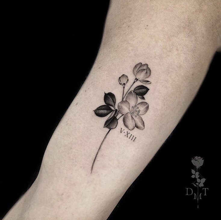 Devin Mena — Vatican Studios