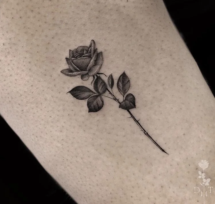 Devin Mena — Vatican Studios