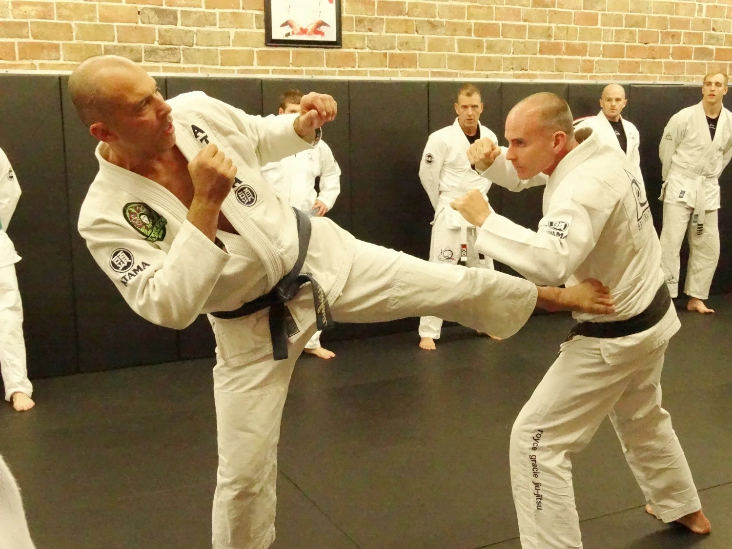 iQ Jiu-Jitsu