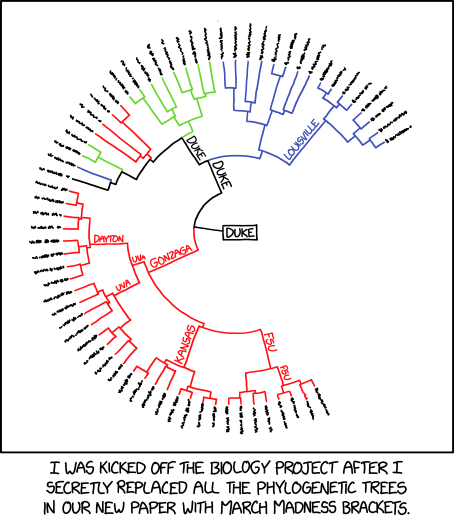 XKCD 'Phylogenetic Tree' - Security Boulevard