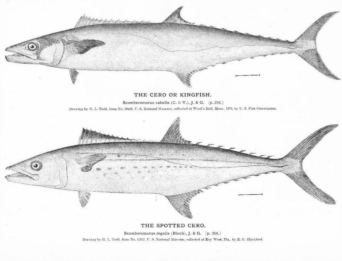 Check Point Security Researchers: PRC Military APT Group's Five Year ...