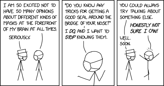 XKCD 'Mask Opinions' - Security Boulevard