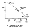 Randall Munroe’s XKCD ‘T. Rex Evolution’ - Security Boulevard