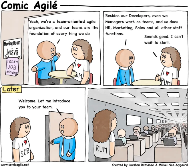 Comic Agilé - Mikkel Noe-Nygaard, Luxshan Ratnarav - #241 — Team - Security Boulevard