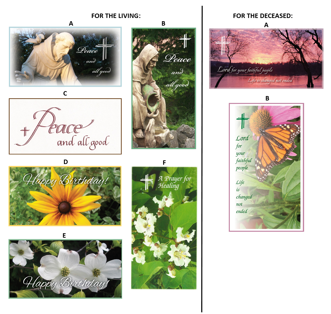 Mass Cards — Sisters of St. Francis