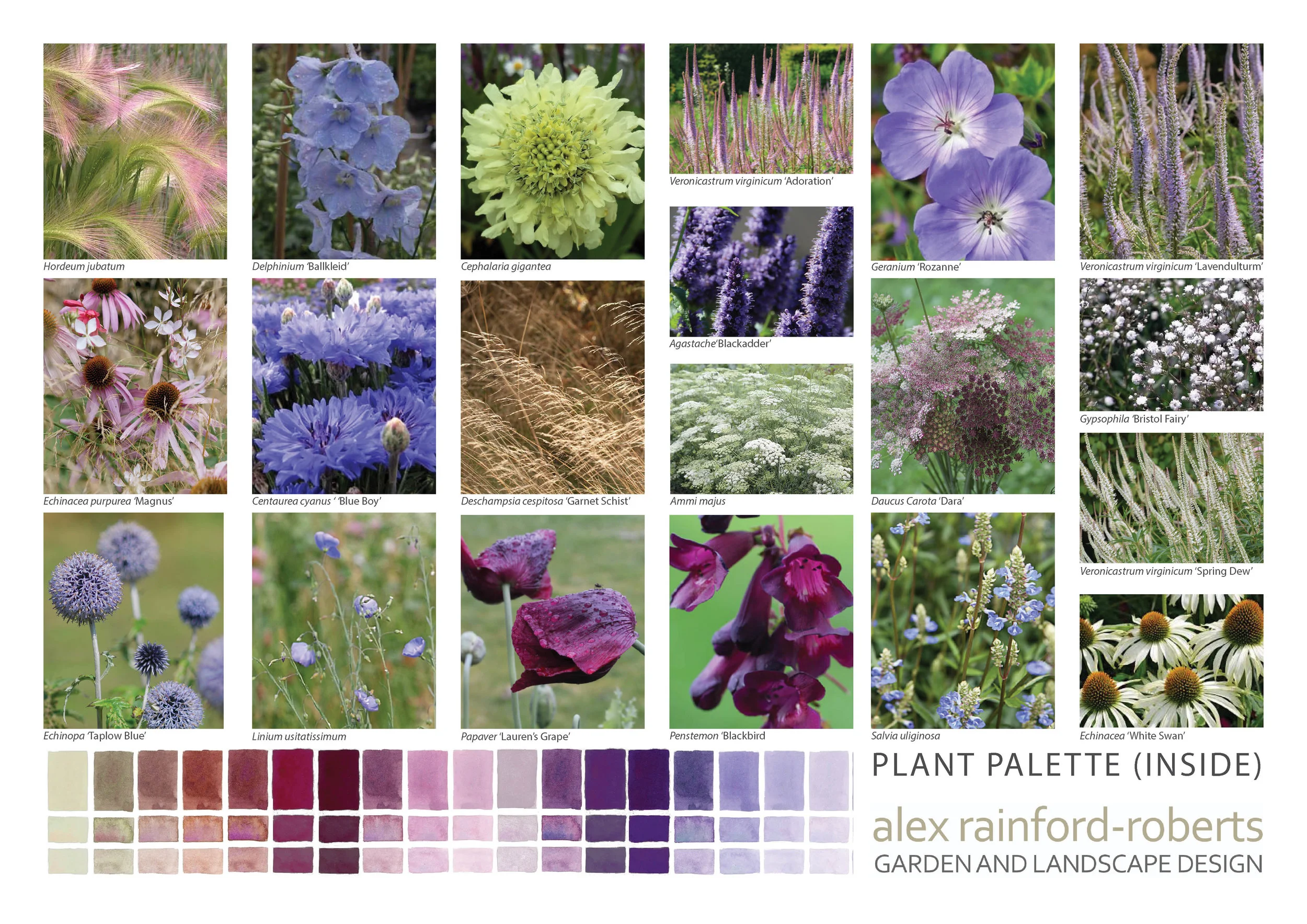 Show Gardens — Alex Rainford-Roberts