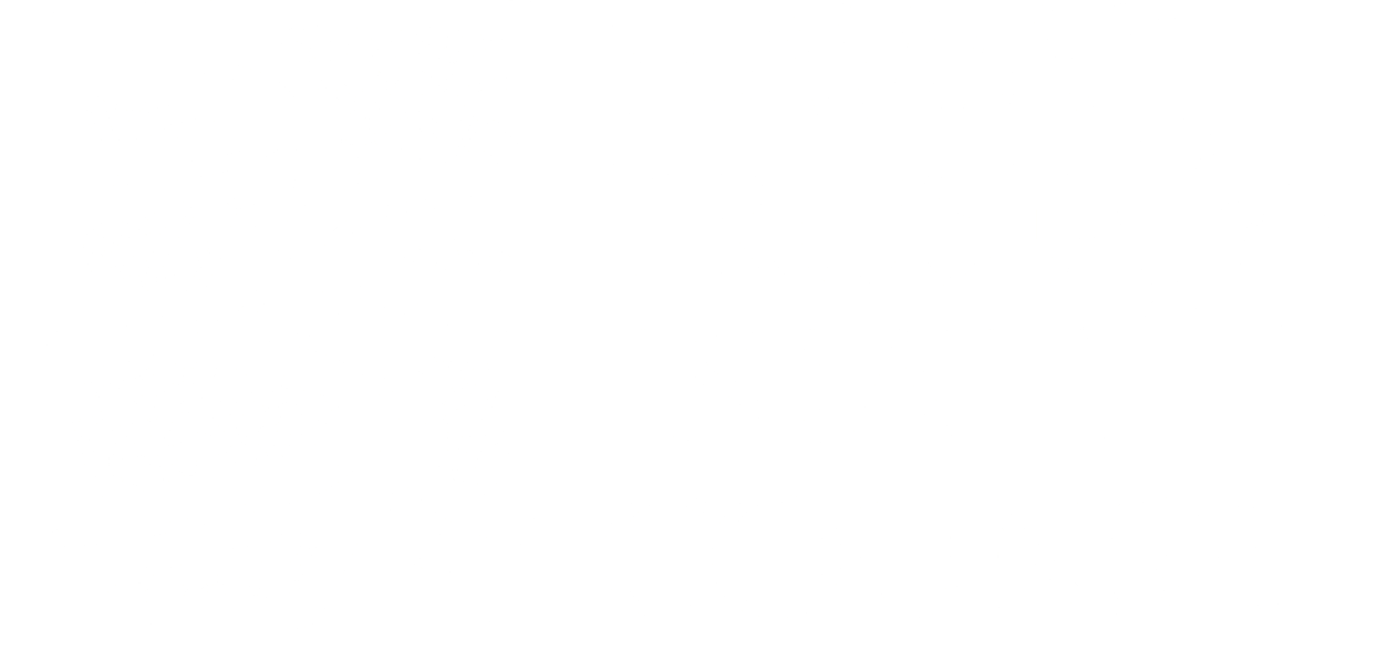 Attorneys — Hawaii Trust & Estate Counsel