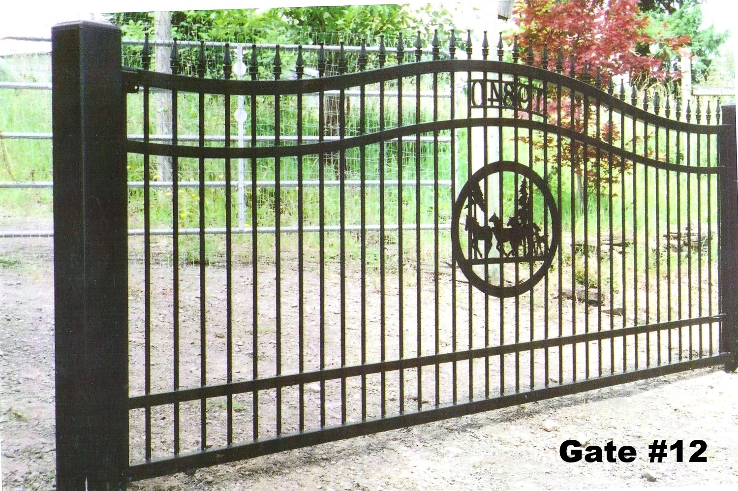 automatic or manual driveway gate, pedestrian gates, access control ...