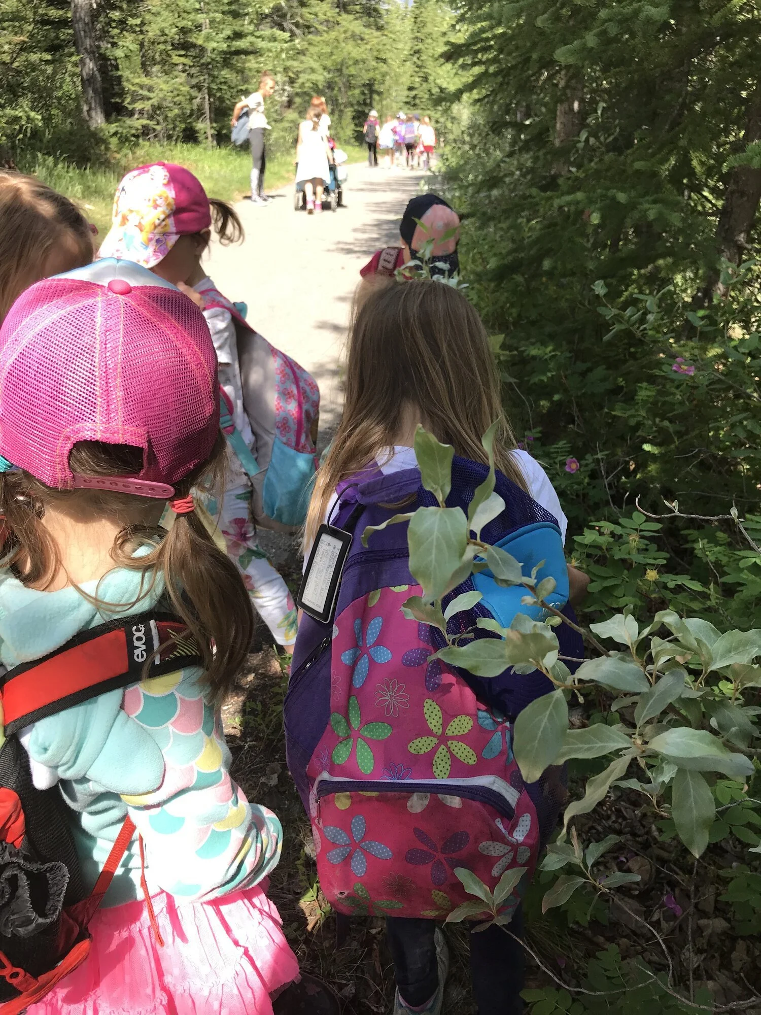 Magical Fairy Nature Camp For Kids — Open to Wellness