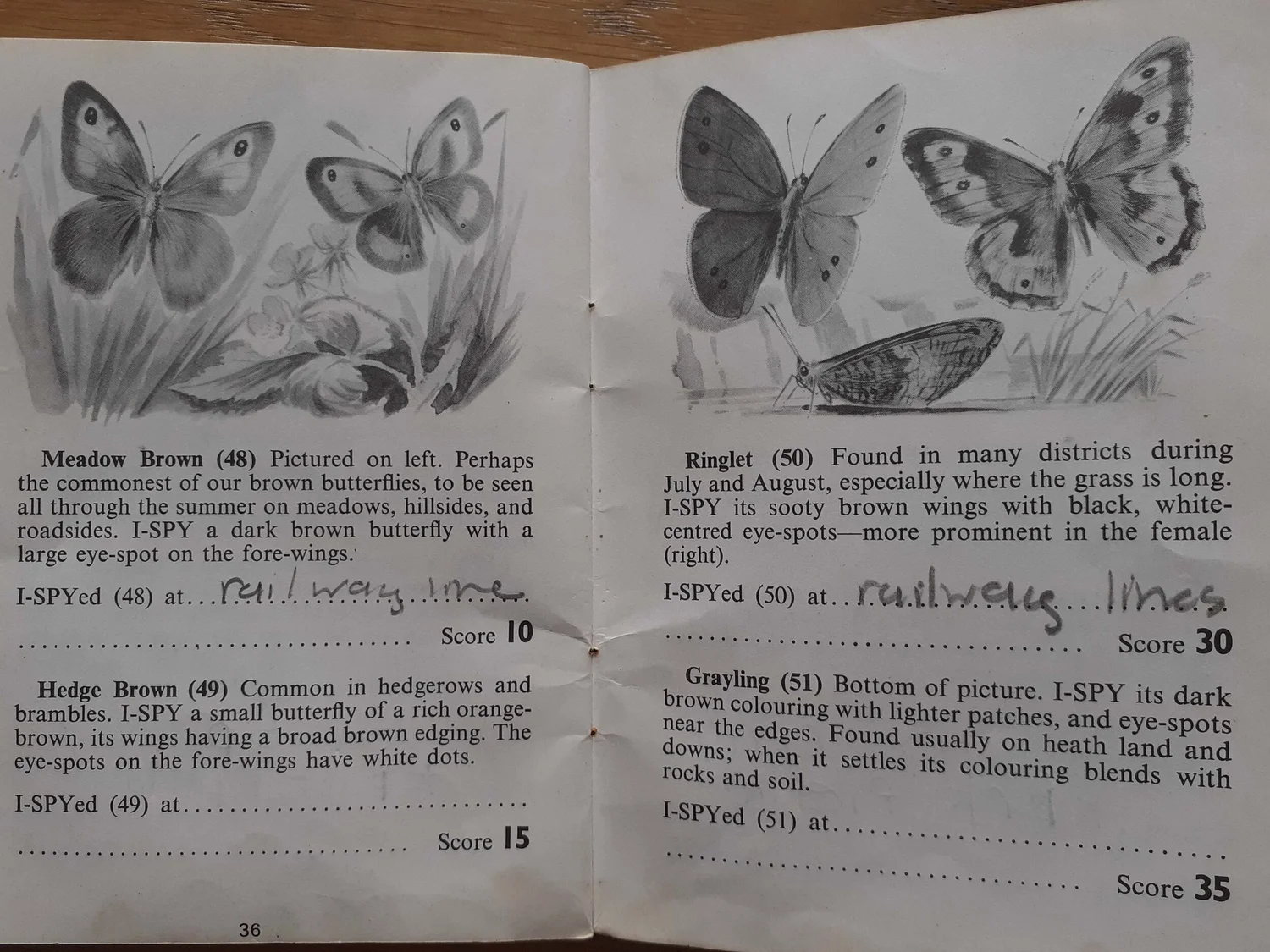 East Yorkshire Butterflies — East Yorkshire Wildlife