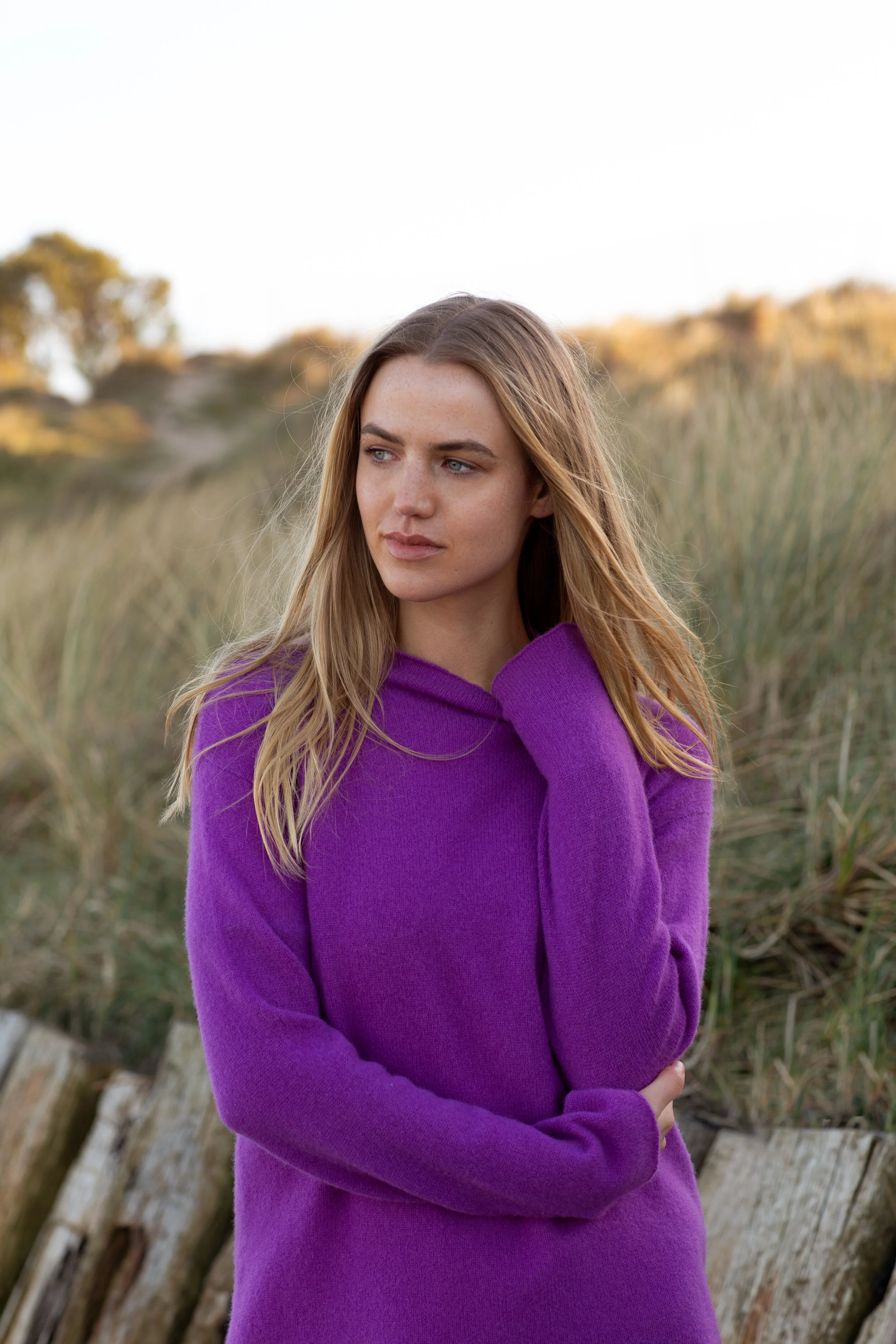 Shop — Laura Chambers