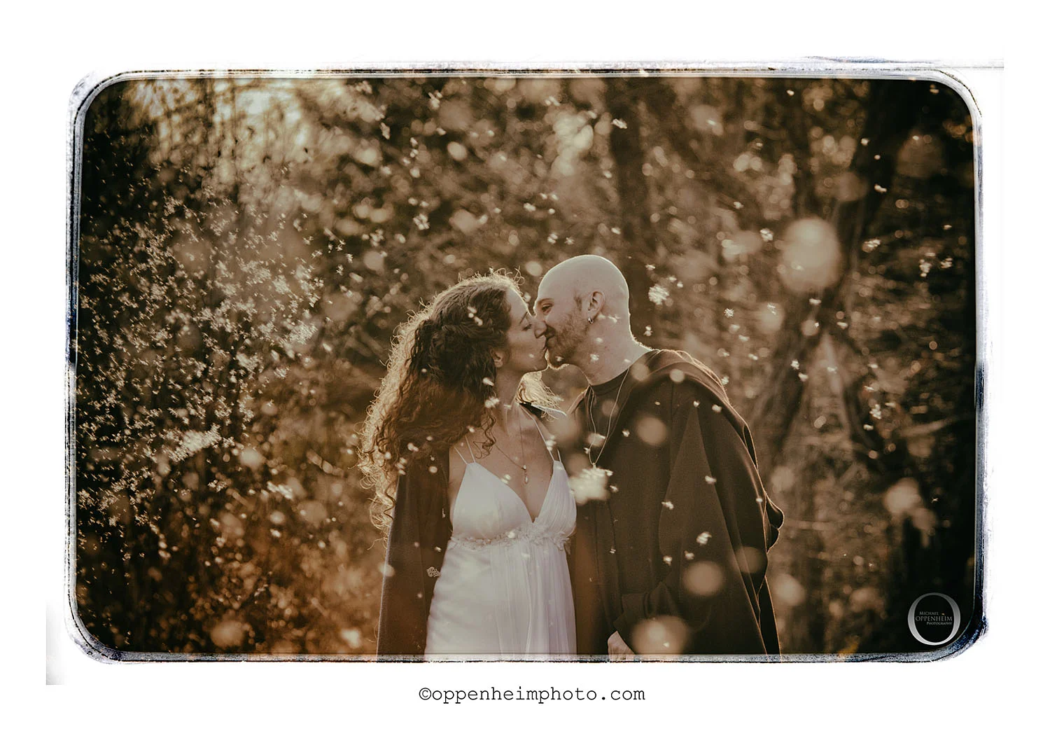 Michael Oppenheim Photography - Home