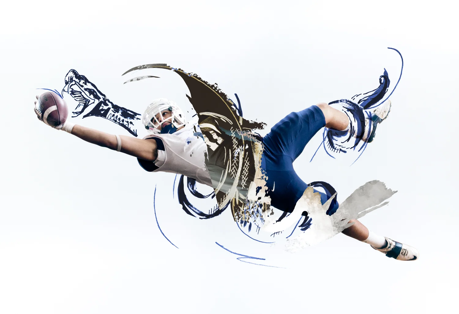 Predators — James Cannon - photographer / director of sport, active ...