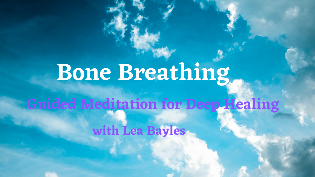 Blog — Lea Bayles