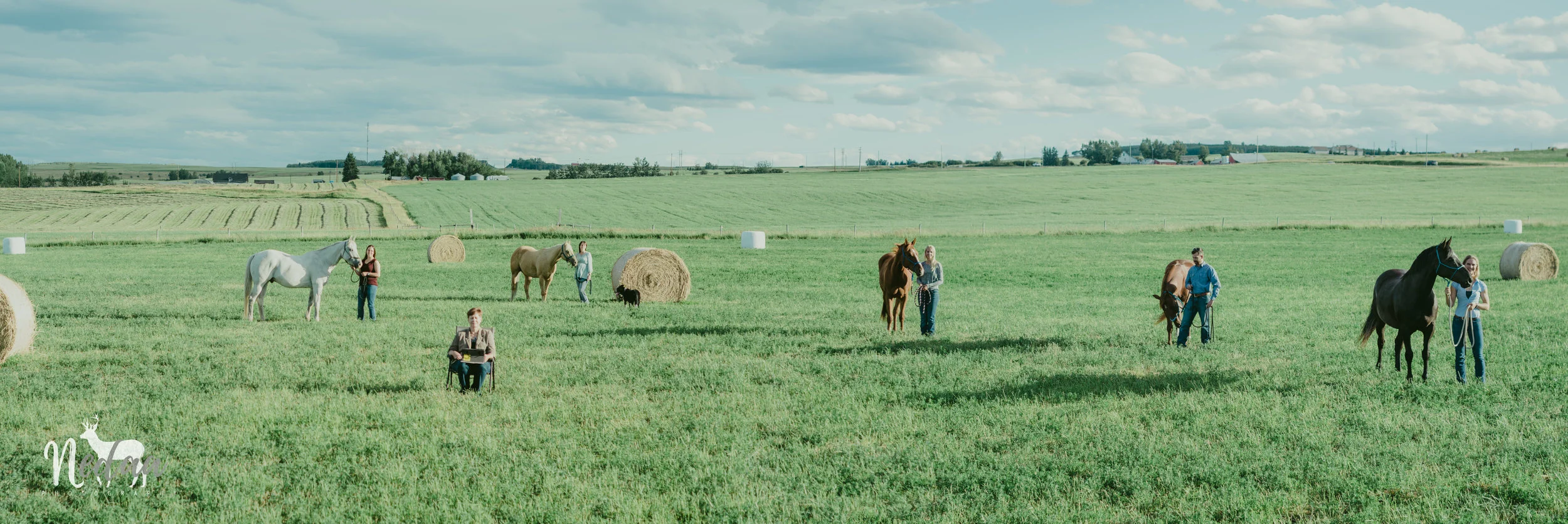 Our Team of Veterinarians and Staff — Burwash Equine Services