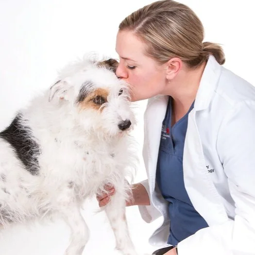 Our Team of Veterinarians and Staff — Burwash Equine Services