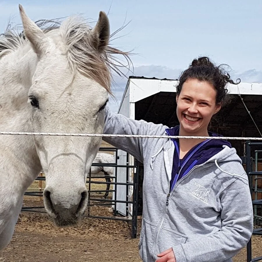 Our Team of Veterinarians and Staff — Burwash Equine Services