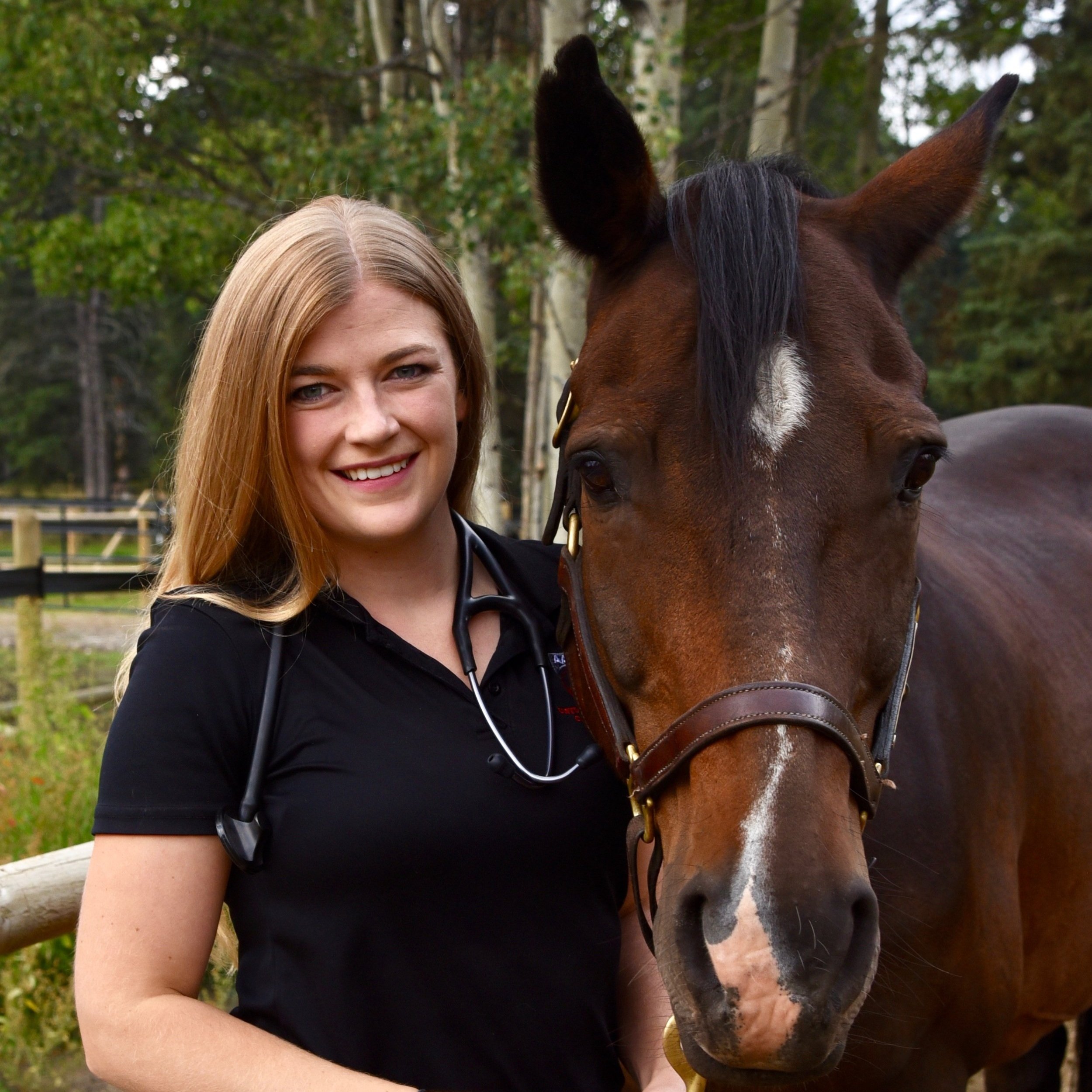 Our Team of Veterinarians and Staff — Burwash Equine Services