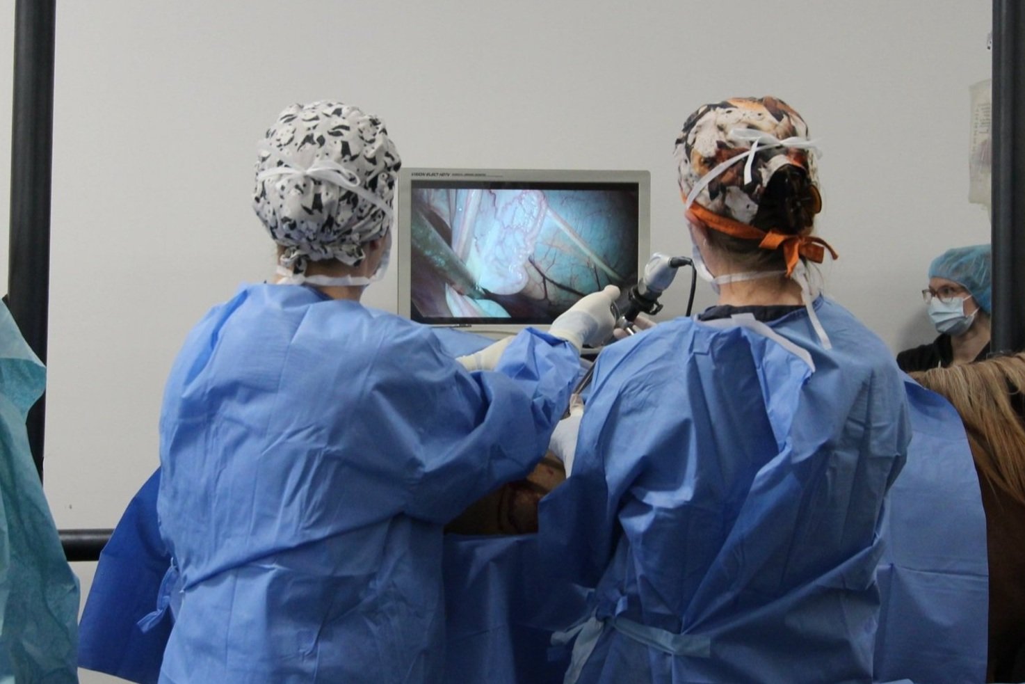 Surgery — Burwash Equine Services