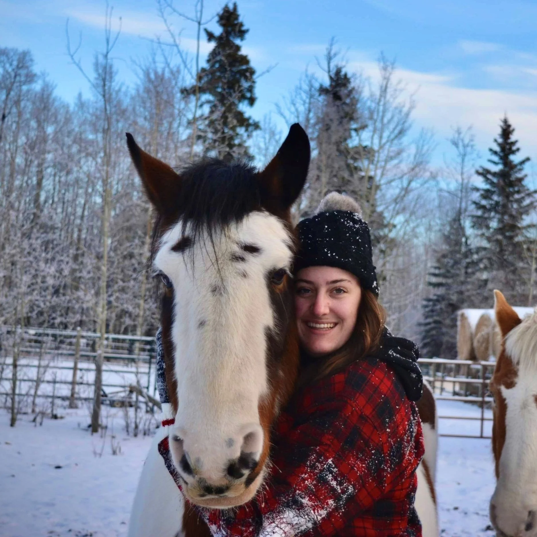 Our Team of Veterinarians and Staff — Burwash Equine Services