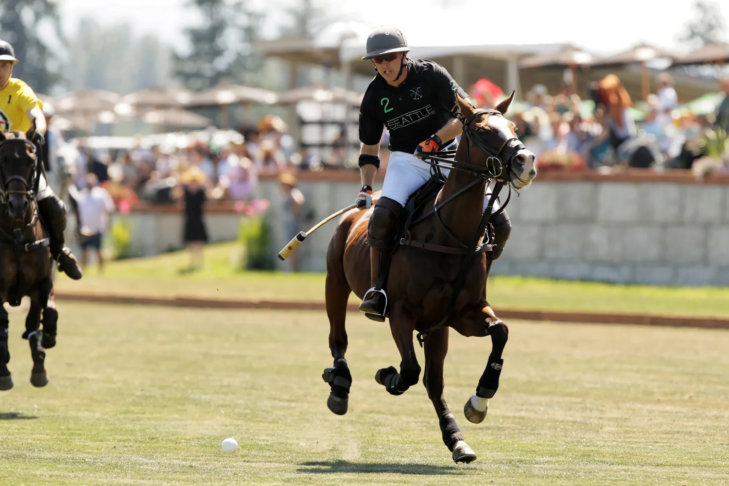 Seattle Polo & Equestrian Club