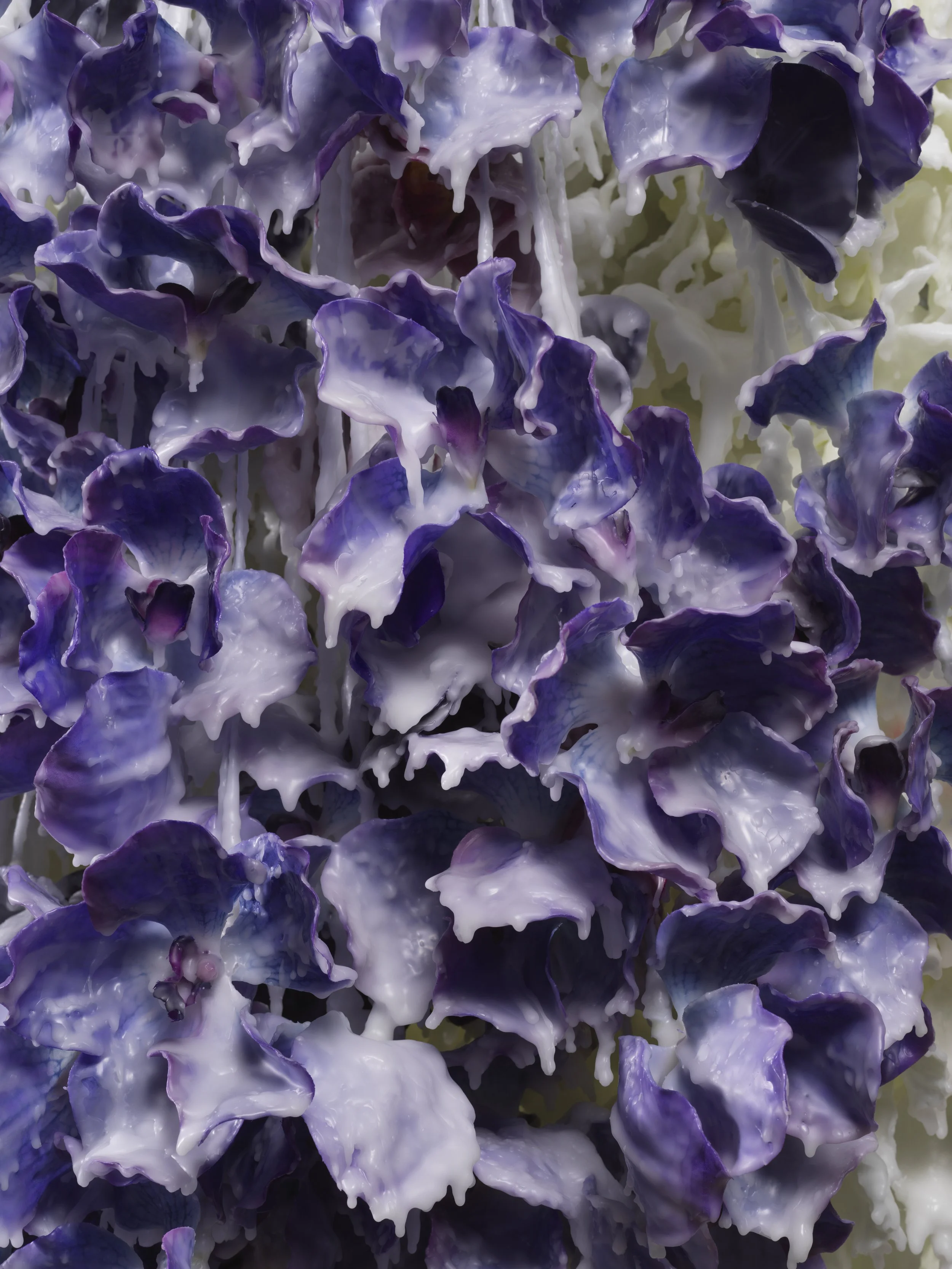 North Star: Petah Coyne Solo Exhibition — Nunu Fine Art