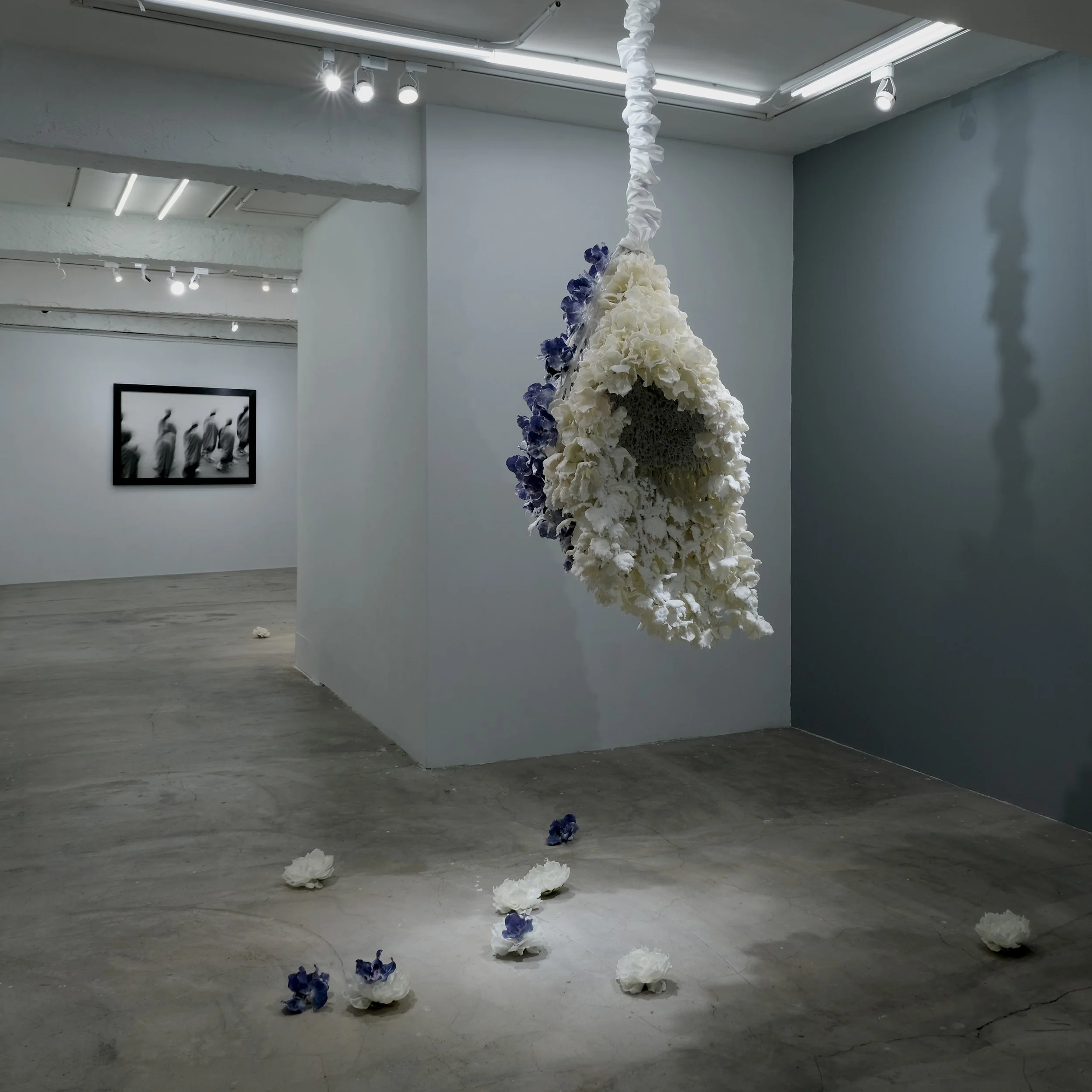 North Star: Petah Coyne Solo Exhibition — Nunu Fine Art