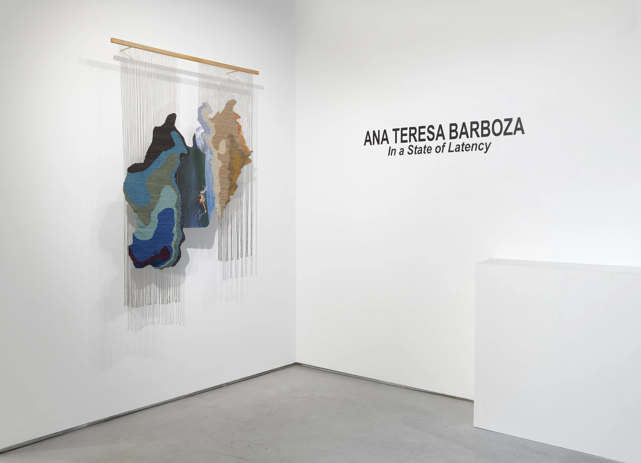 Ana Teresa Barboza: IN A STATE OF LATENCY - 「潛伏之境」：安娜．特蕾莎．巴博扎 — Nunu ...