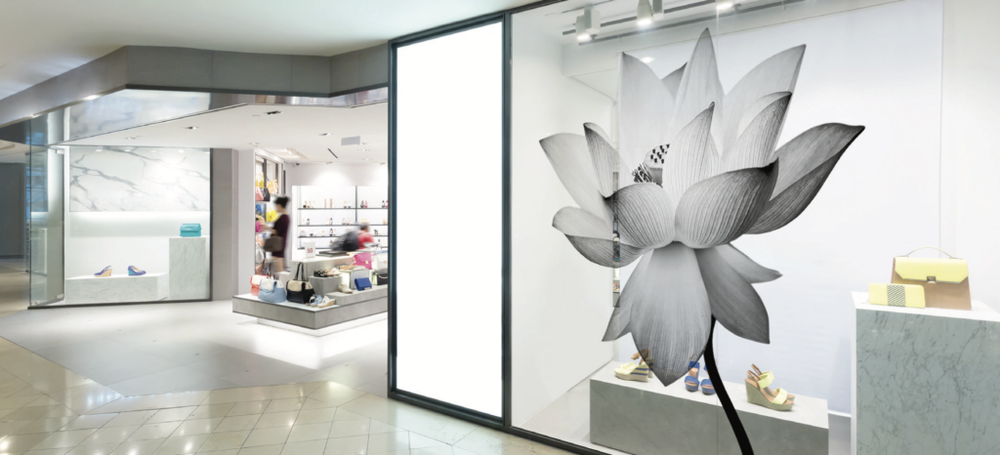 3M Design Window Films — APG Design Studio