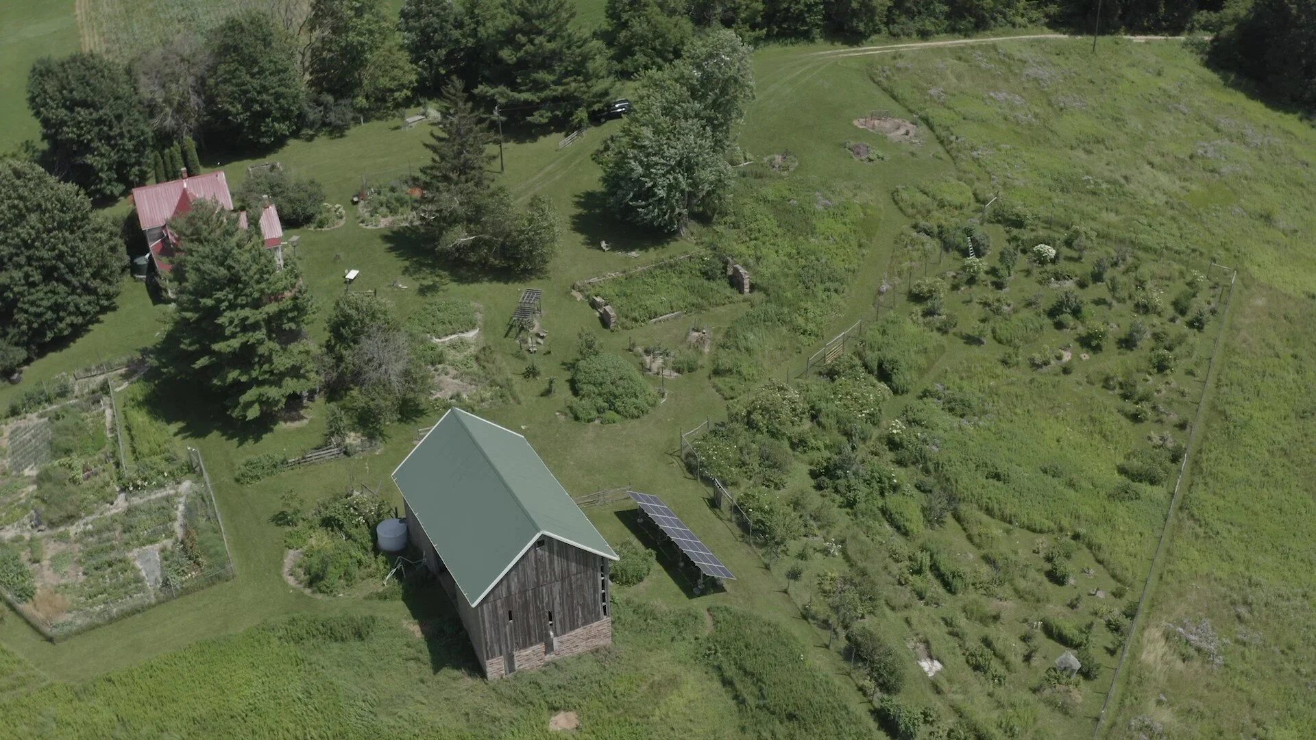 A Love Apple Lament: RIP First Generation Quince Trees — Hilltop ...
