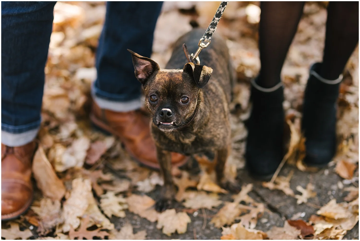 Downtown Albany Engagement Session - Talia & Fred — Megan Antalek ...
