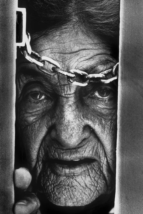 Bill Frakes: Back to His Roots — zPhotoJournal