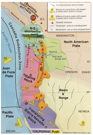 Rotating Crustal Blocks Form a Simplified Picture of Pacific NW Plate ...