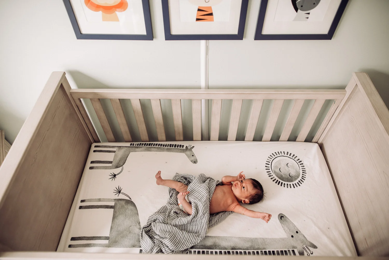 Baby Max | Massachusetts Lifestyle Newborn Photographer — Central MA ...