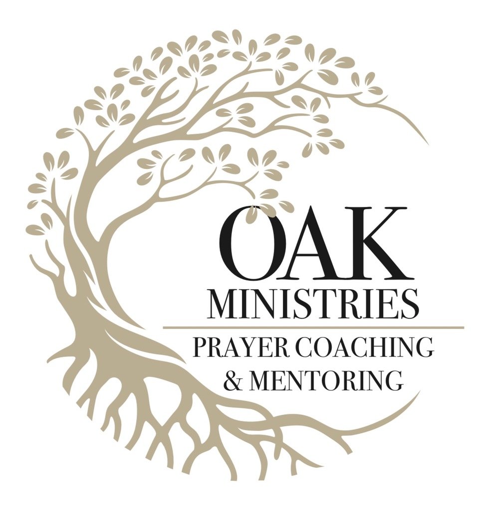 Bianca Van Staden — Seraph Creative