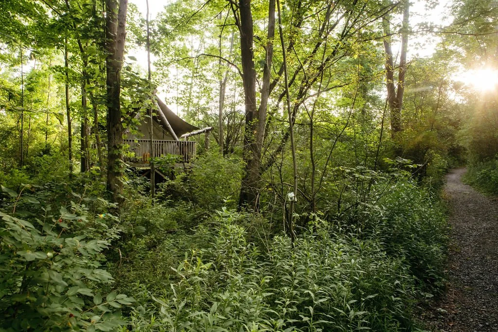 Gallery — Firelight Camps