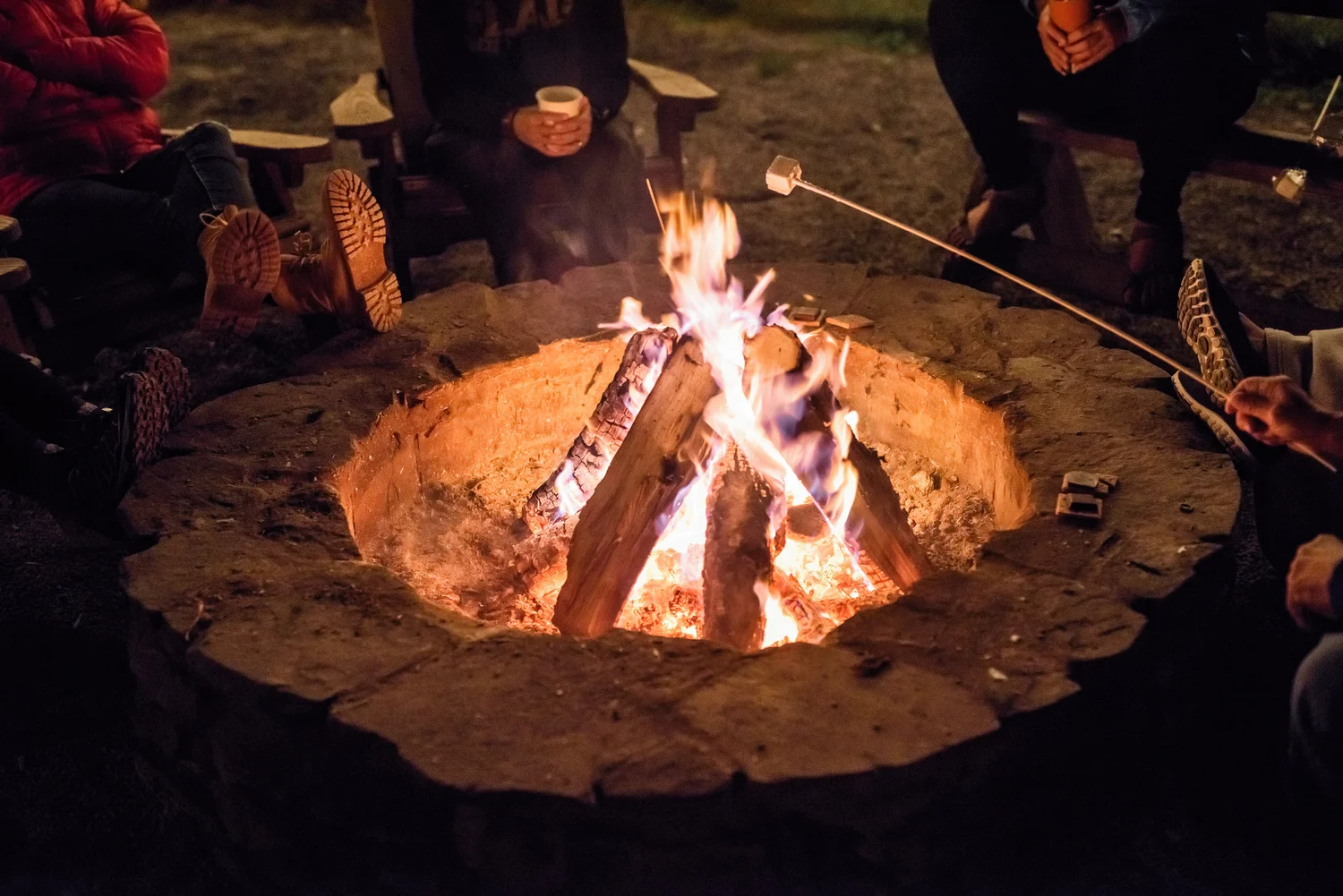 Wild Foraging Hikes, Yoga & Events | Firelight Camps — Firelight Camps