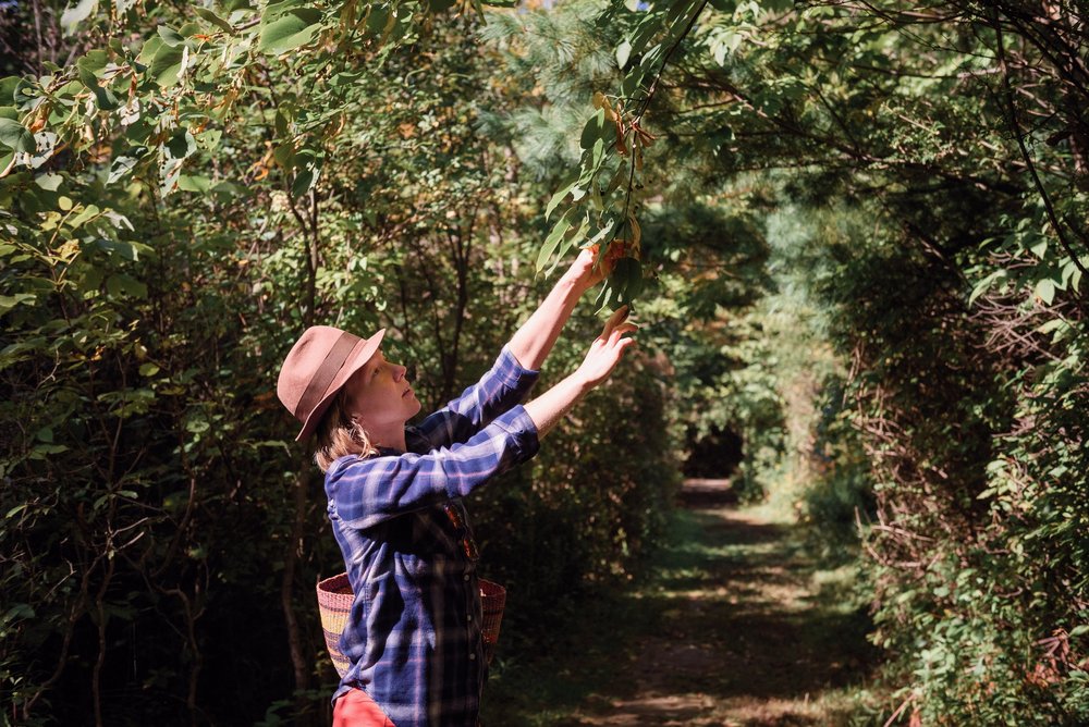 Wild Foraging Hikes, Yoga & Events | Firelight Camps — Firelight Camps