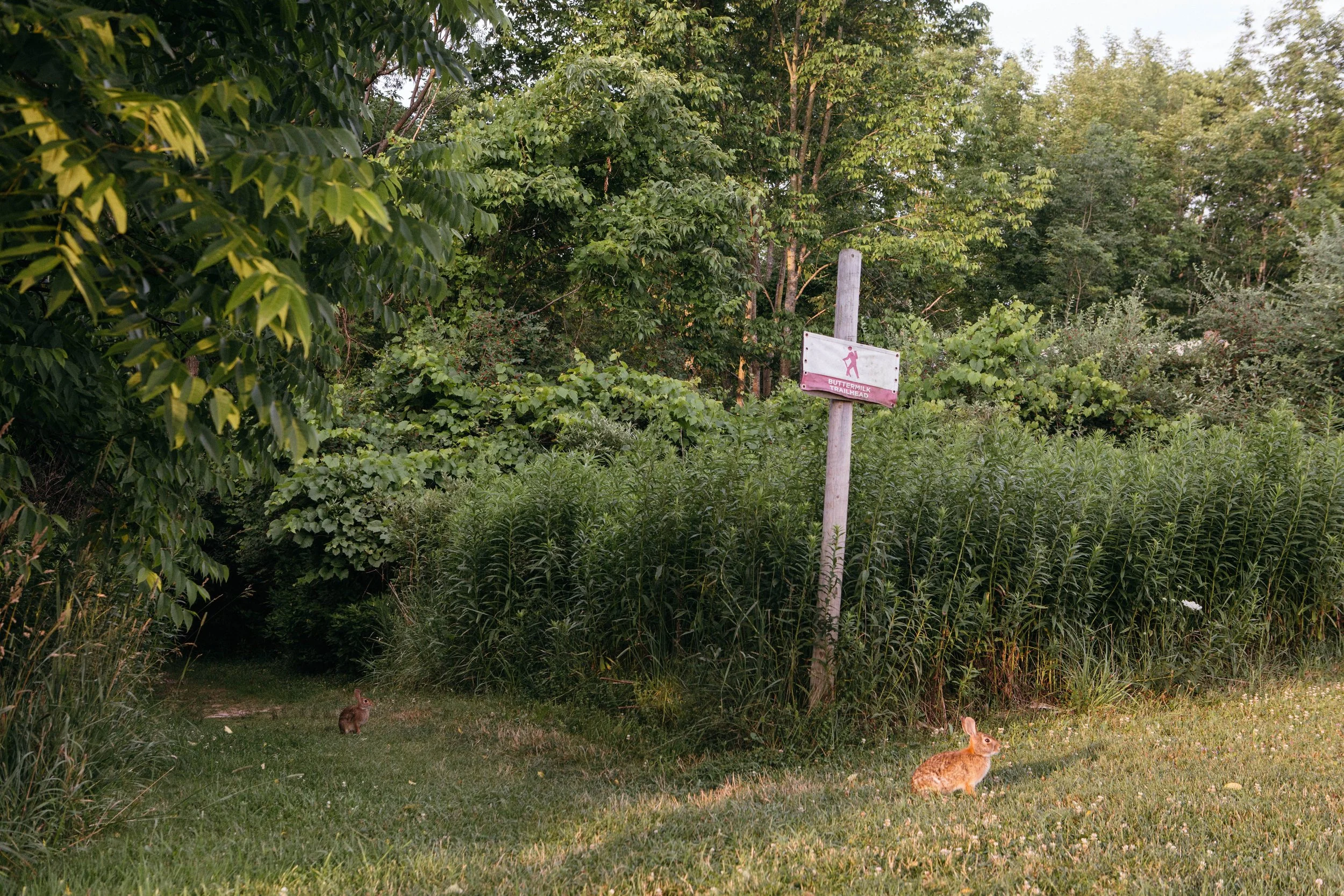 Gallery — Firelight Camps