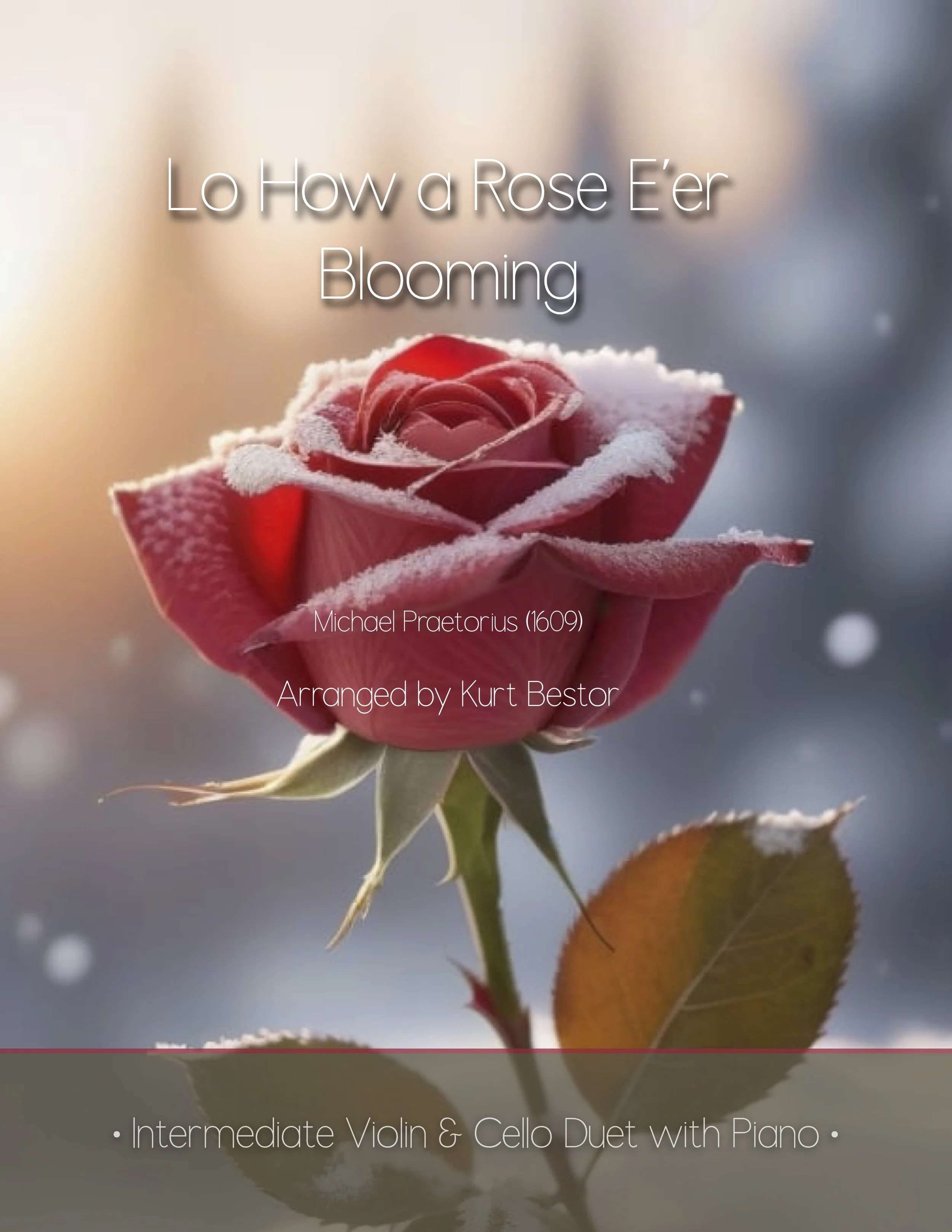 Christmas Collection — Jenny Oaks Baker